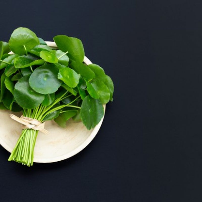 Manfaat Centella Asiatica untuk Kulit Berjerawat Apa Saja Sih?