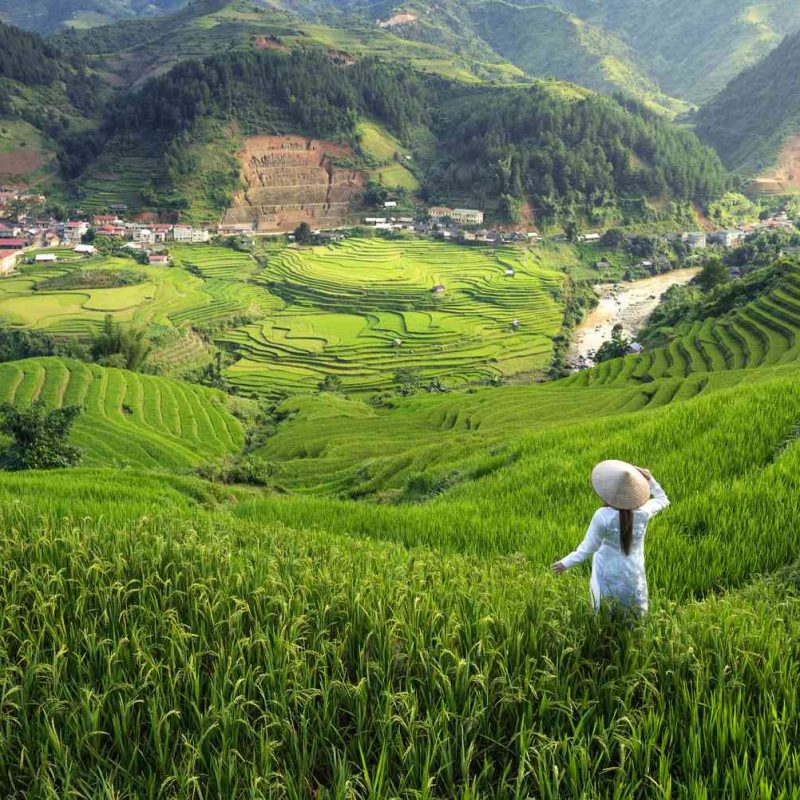 Cara ke Sapa Vietnam, Ini Detail Transportasinya!